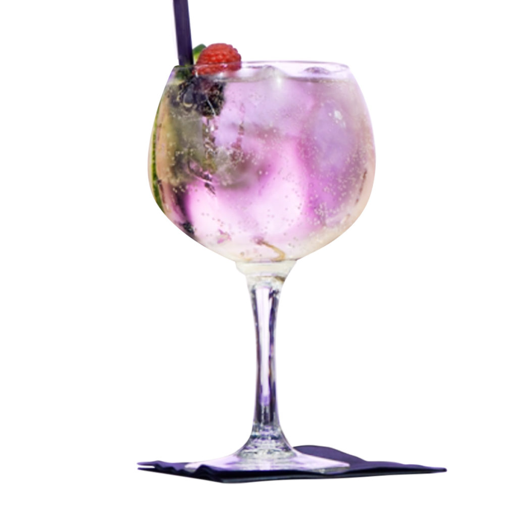 COPACABANA GIN GOBLET By Onis - Core Catering