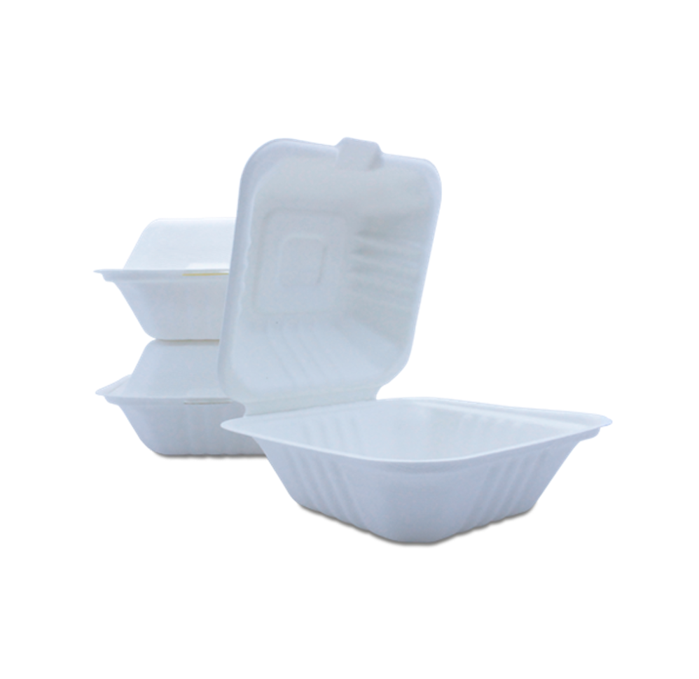 BIO SUGAR CANE BOX Single Compartment - Core Catering
