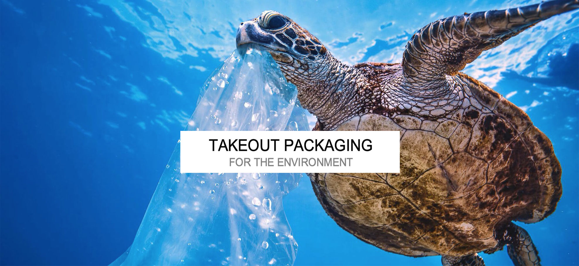 SA's Premier Sellers Of Premium Catering Supplies | Core Catering