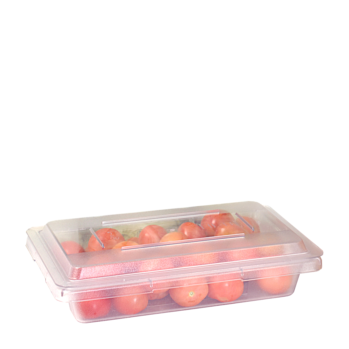 Carlisle Plastic Containers