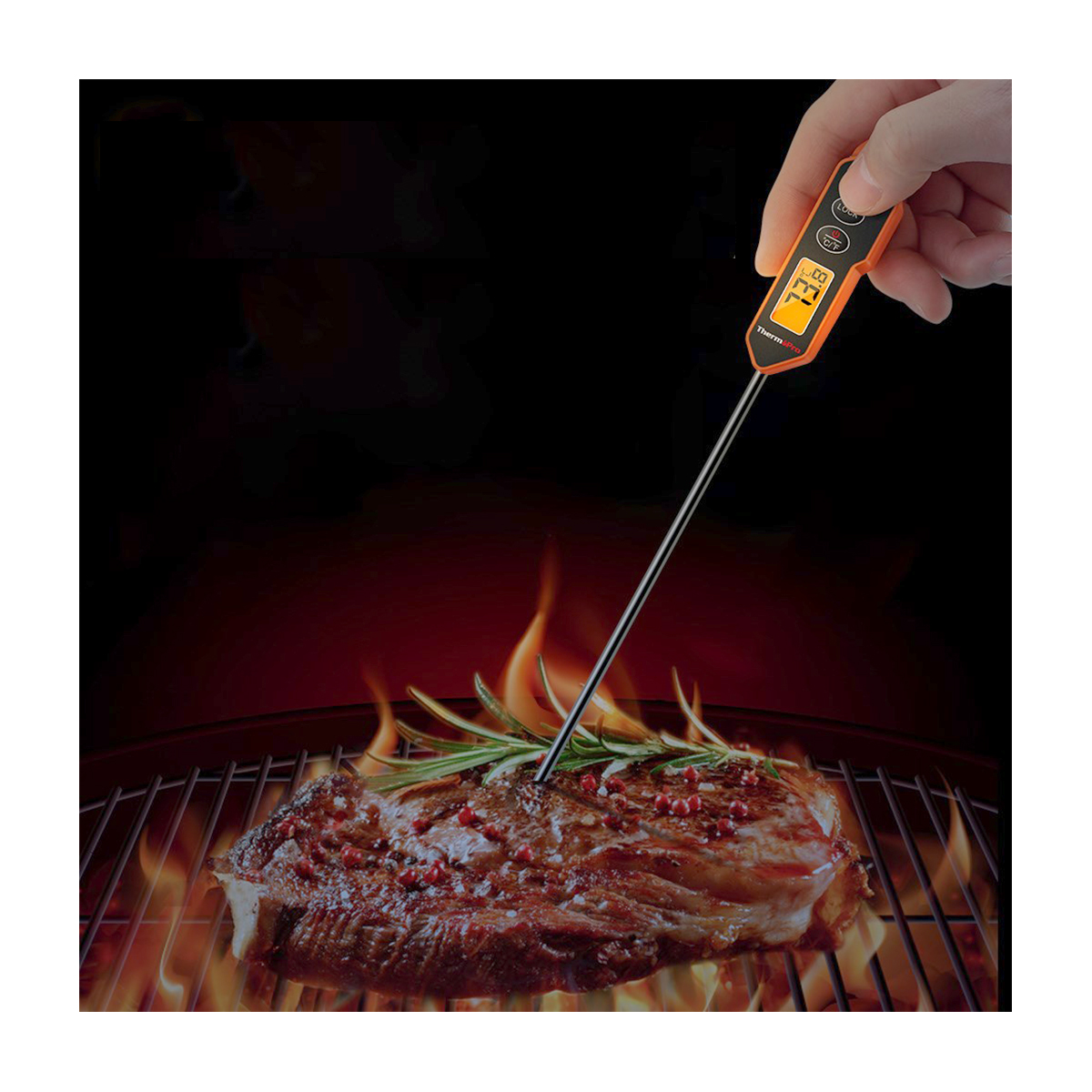 MEAT THERMOMETER INSTANT READ By ThermoPro