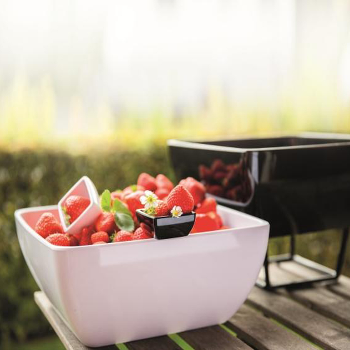 PURE SQUARE BOWL 3.8L WHITE By APS - Core Catering